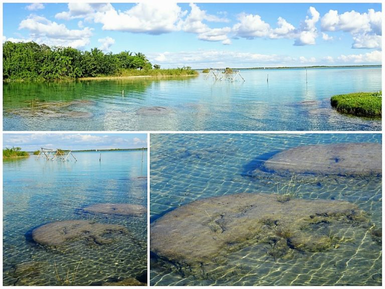 THE ULTIMATE GUIDE TO BACALAR, MEXICO - Hungry Backpack